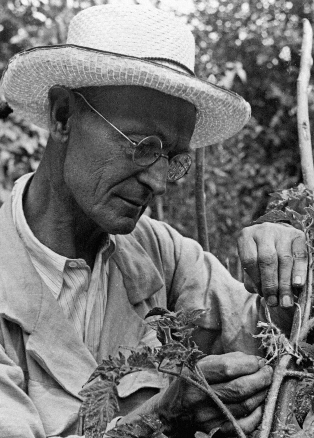 „Was wäre unser Leben ohne Musik!“ – Hermann Hesse